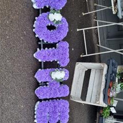 Silk Brother lettering